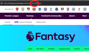 How to Find Your FPL (Fantasy Premier League) Team ID - Premier Fantasy ...